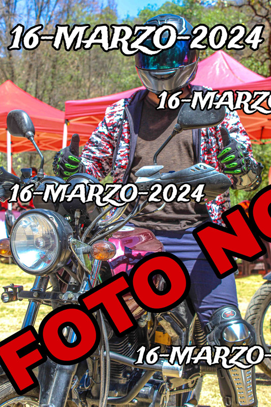 SC 206 — Postimages