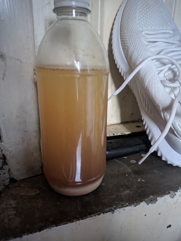 HC 20220817 100623 null — Postimages