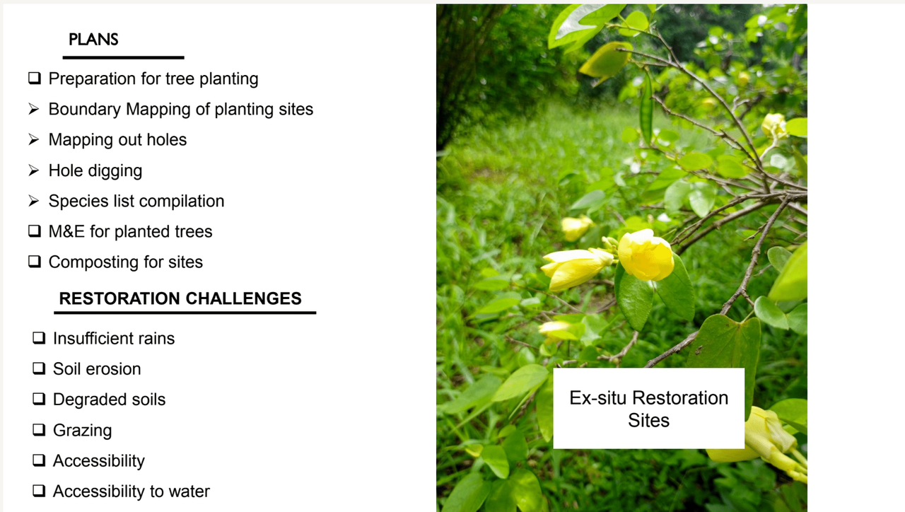 relics plan 2 — Postimages