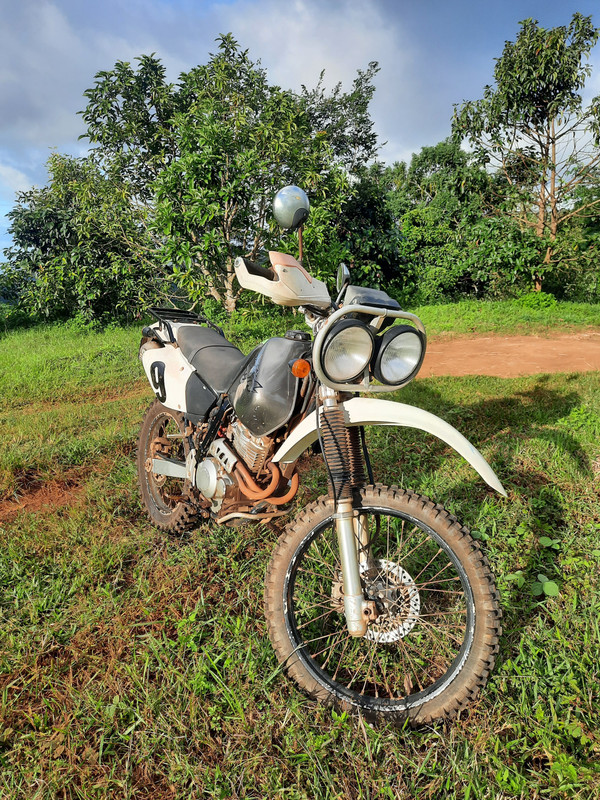 Front — Postimages