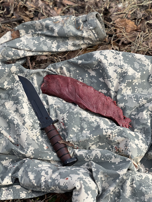 30-30 vs 223 for deer rifle - 24hourcampfire