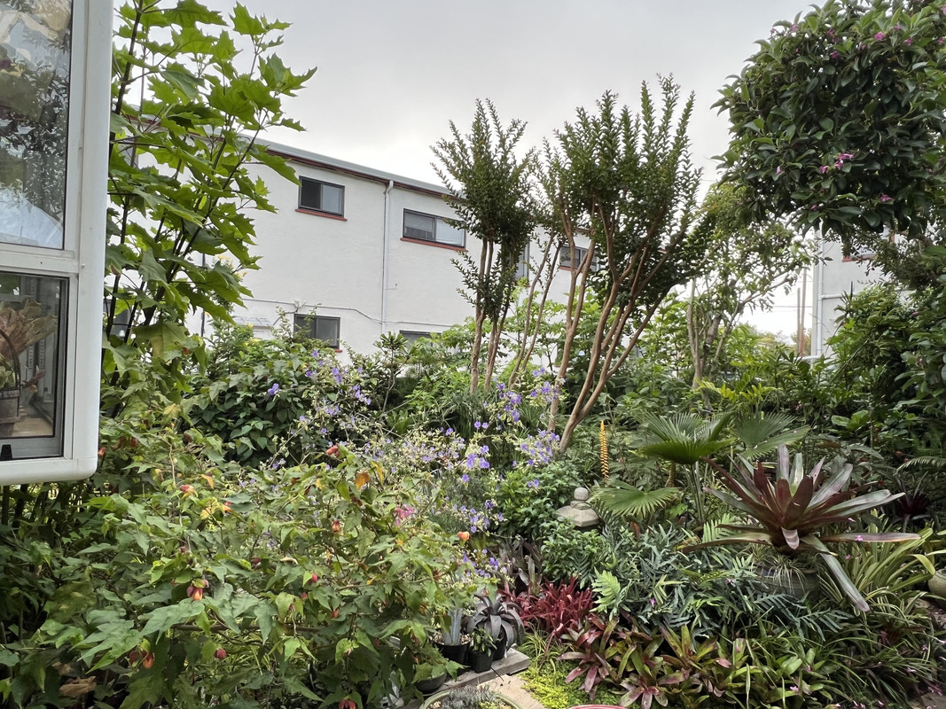 IMG 6023 — Postimages