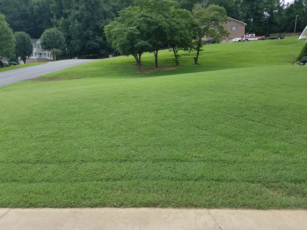 20190717 095916 — Postimages