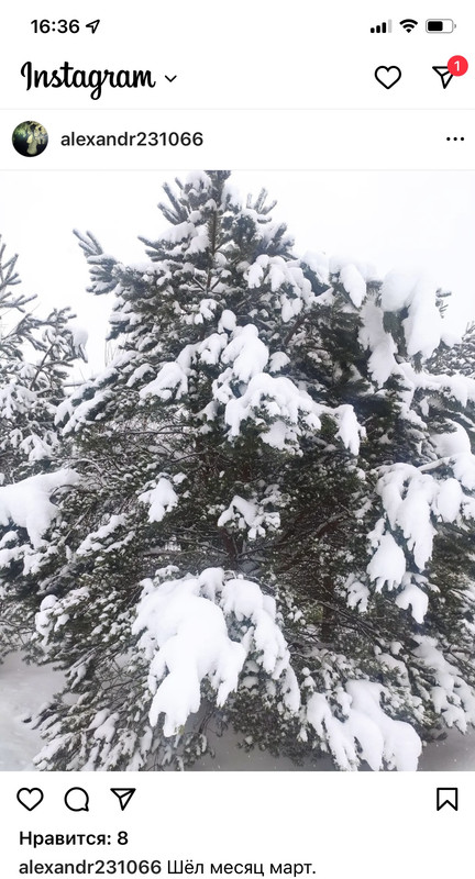 BFA97 E7 A 47 FD 481 F 8494 CCCD2 DF38518 — Postimages