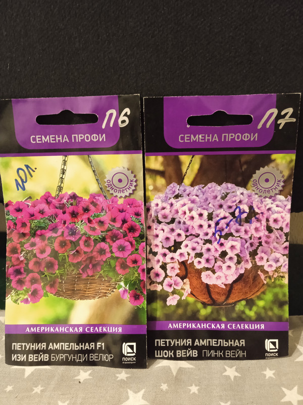 IMG 20220503 201048 — Postimages