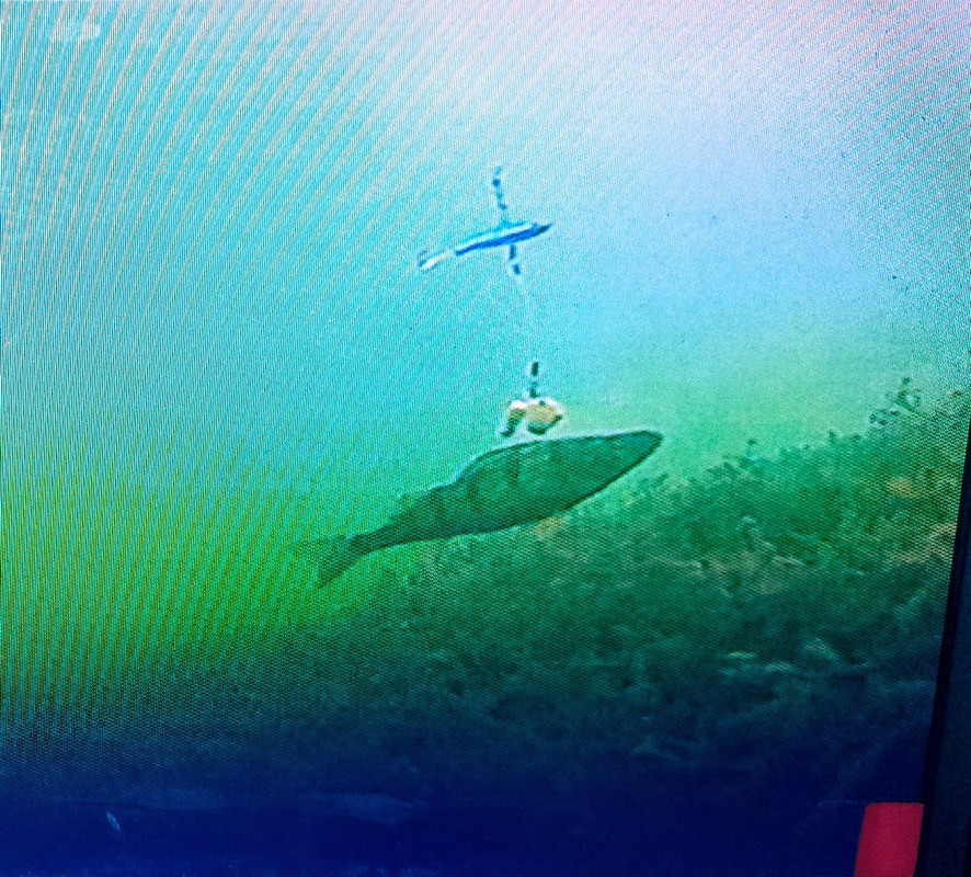 PERCH CAMERA — Postimages