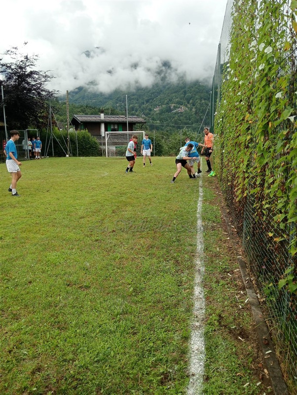 ft 313 — Postimages