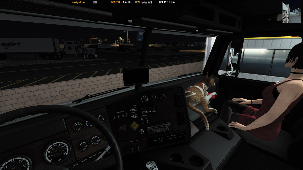 Animated passenger and cats now available in ATS - Roextended Project