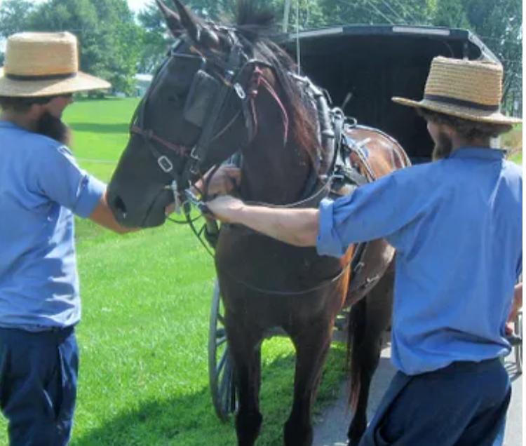 The Truth about Amish - 24hourcampfire