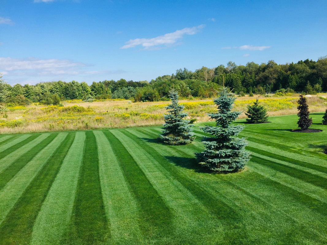 2019 | Cool Season Lawn Photos | Page 3 | Lawn Care Forum