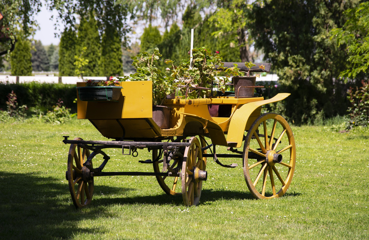 DSC0099 LRPS — Postimages