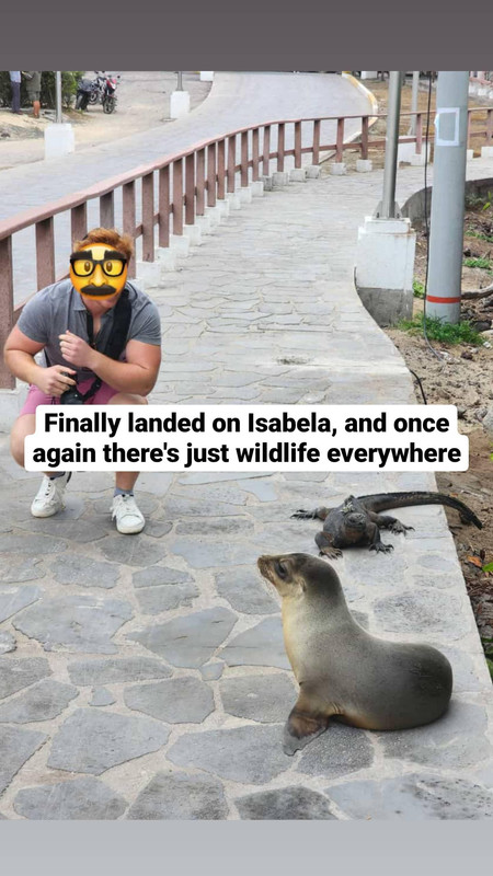 IMG 20221221 004343 414 — Postimages