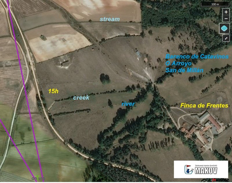 Black Stork Tracks - Page 506 - Looduskalender