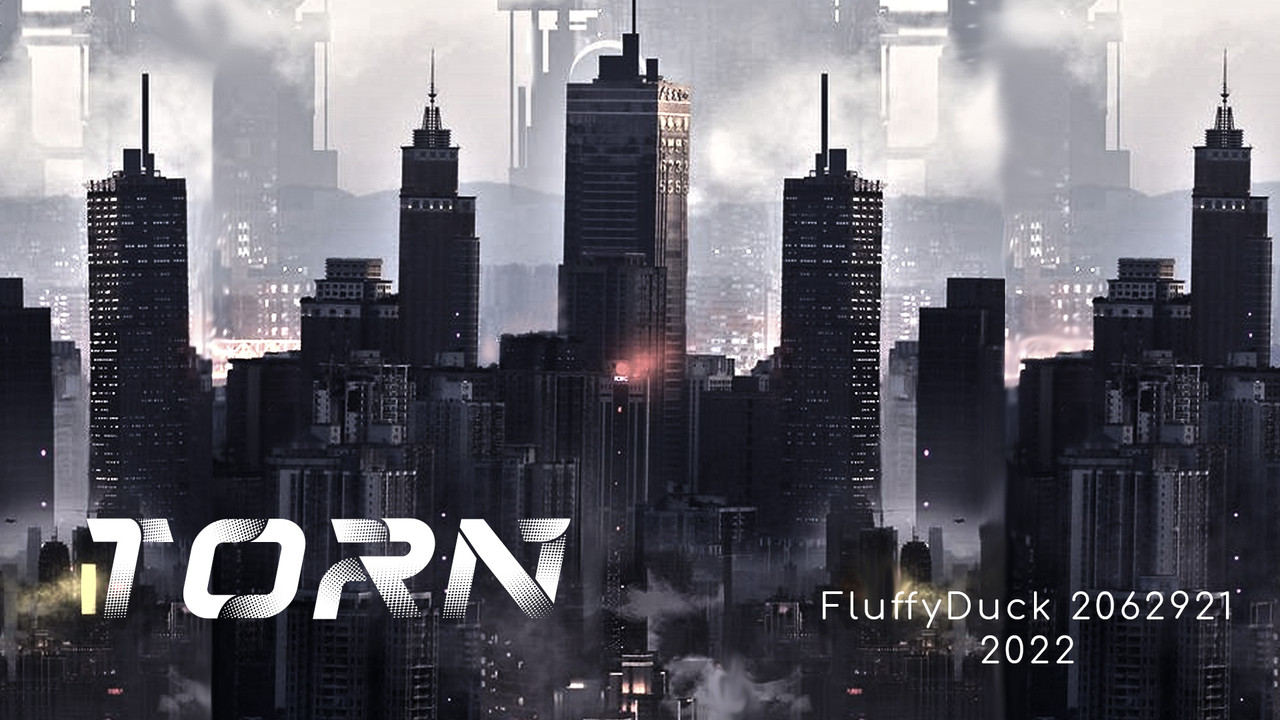 Forums | TORN