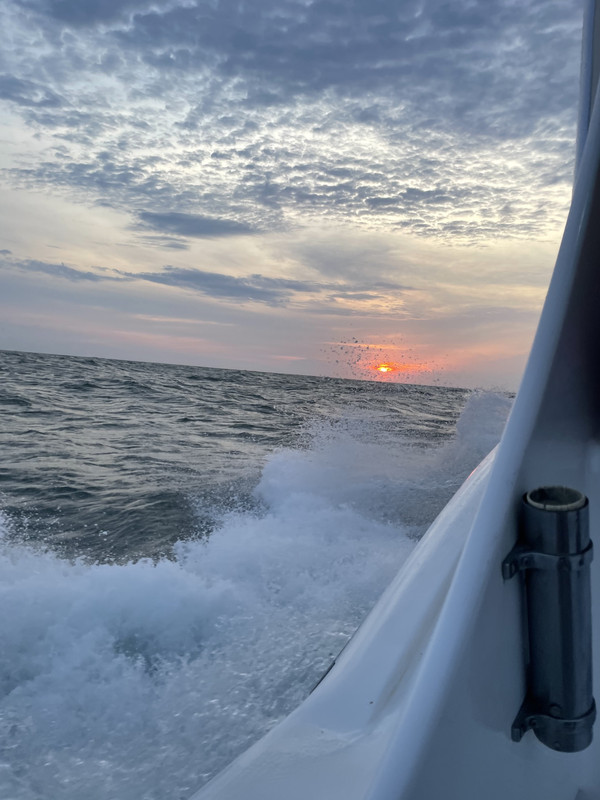 581919 FD B434 4075 88 A5 52 C4093 CEAF2 — Postimages