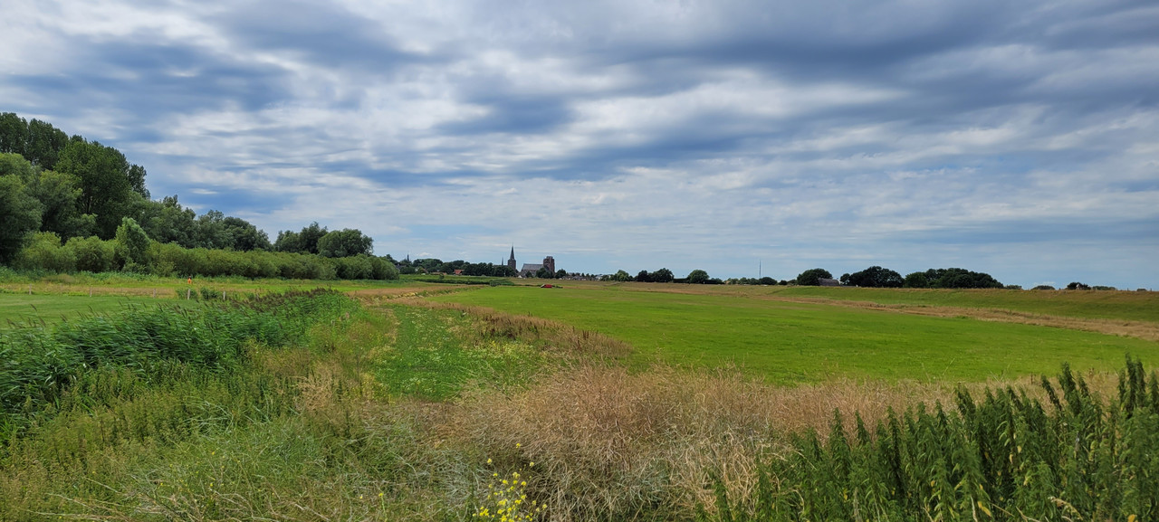 20220805 133455 — Postimages