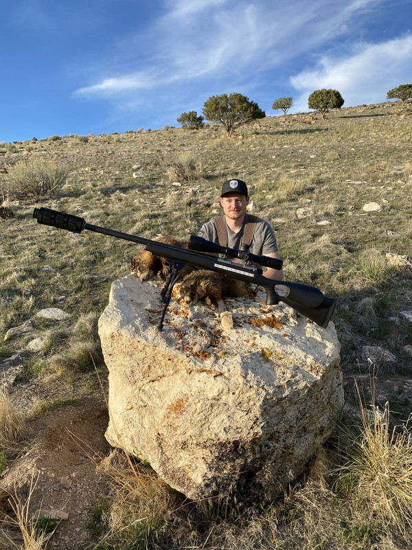 Pic of Idaho's Famous Rock Chuck - 24hourcampfire