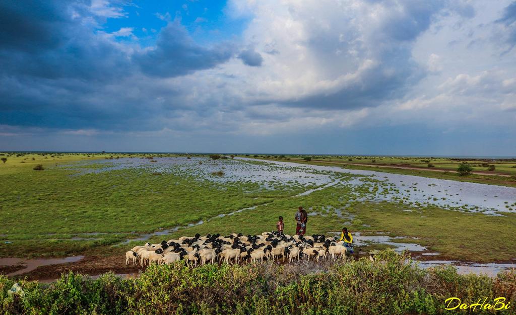 Somali Landscapes, Scenery, and National Parks | Picture Gallery | Page ...