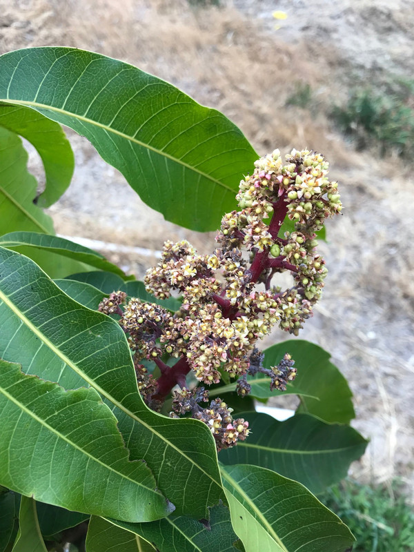 IMG 2396 — Postimages