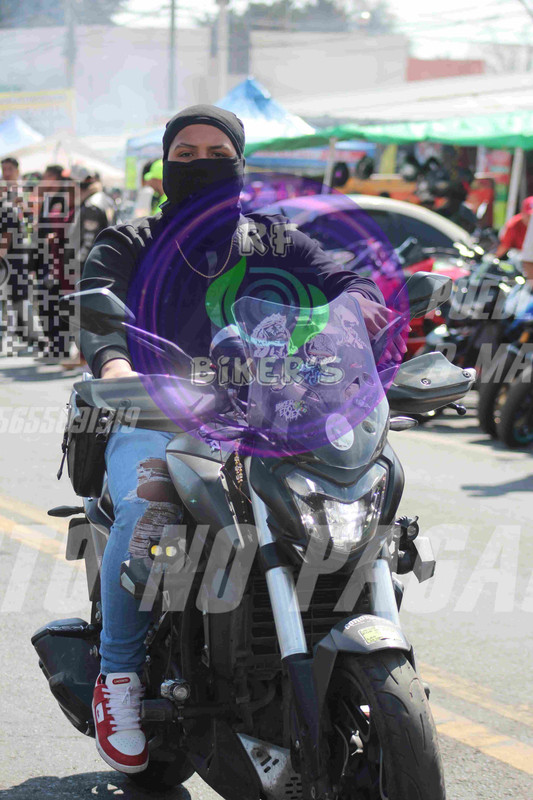 batch IMG 1550 — Postimages