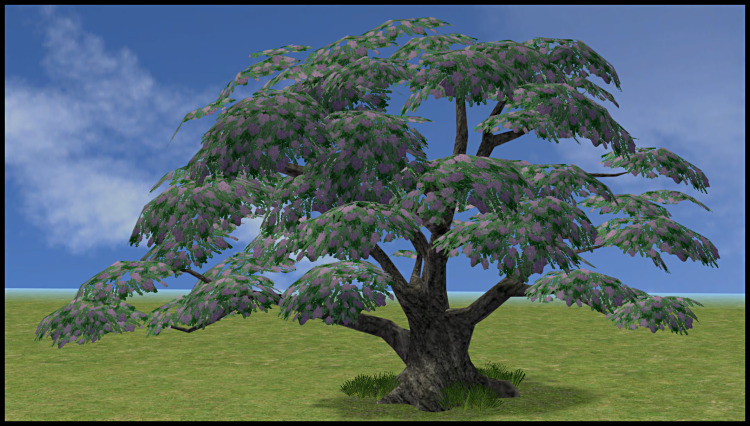 GCA 4T2 Rustic Romance Tree of Love