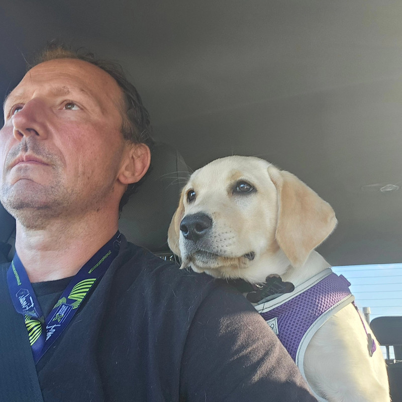 Airline Pilot Central Forums - Is your dog fit for Duty?