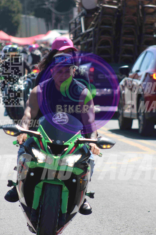 batch IMG 2035 — Postimages