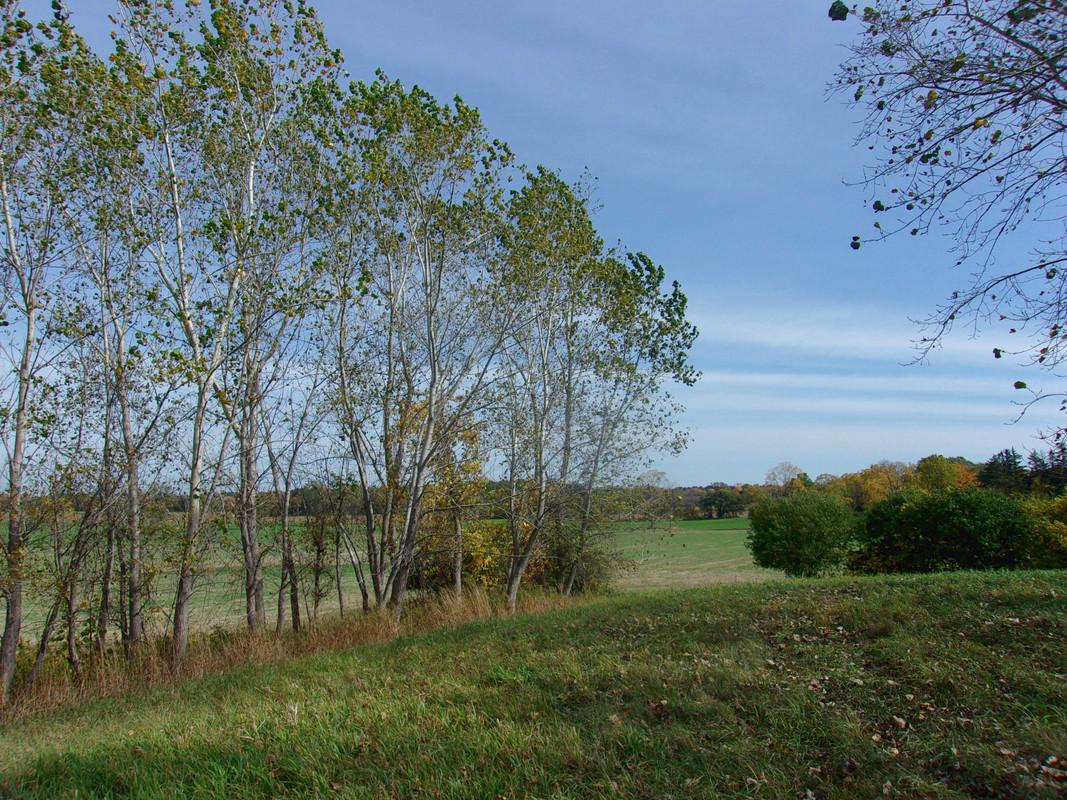 Trees Long Point — Postimages
