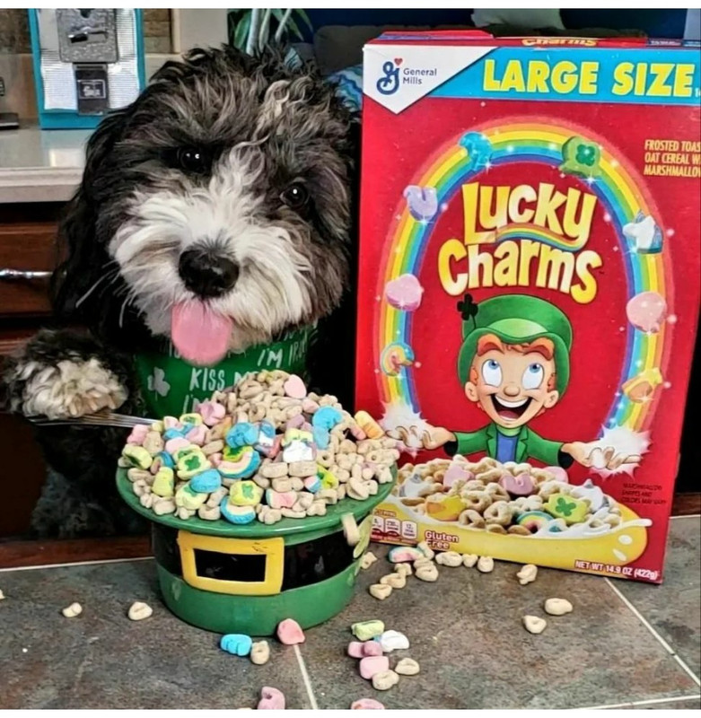 20241116 212242 — Postimages