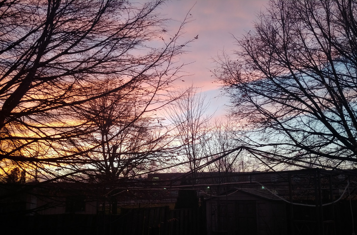 Post your own photographs thread | Steve Hoffman Music Forums