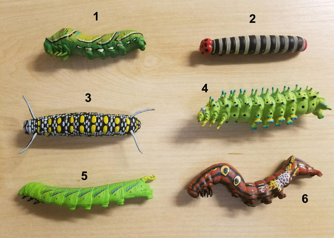 Comparison of Caterpillar sets
