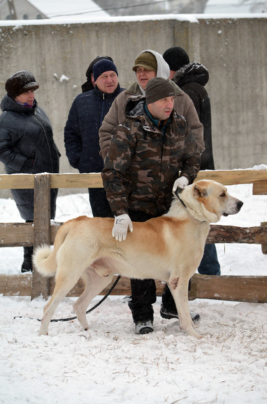 DSC 0467 — Postimages