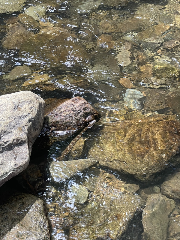 IMG 7328 — Postimages