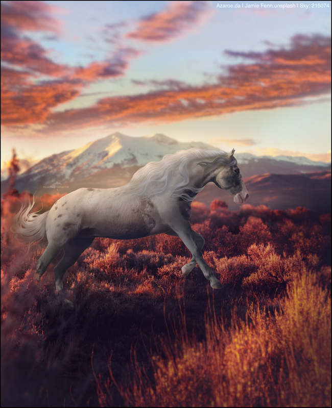 Christmas full — Postimages