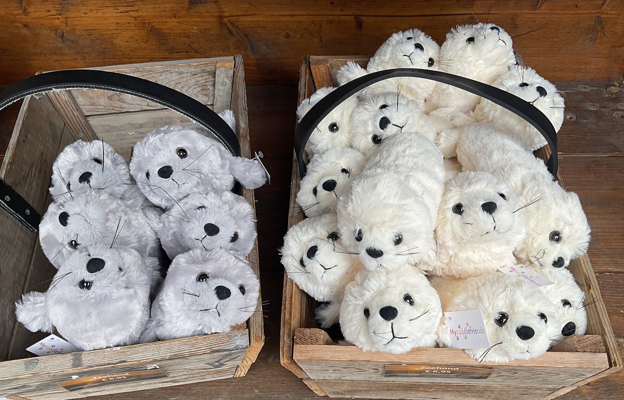 IMG 8220 — Postimages