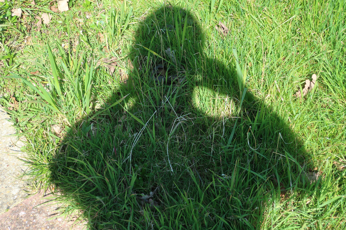 IMG 3242 — Postimages