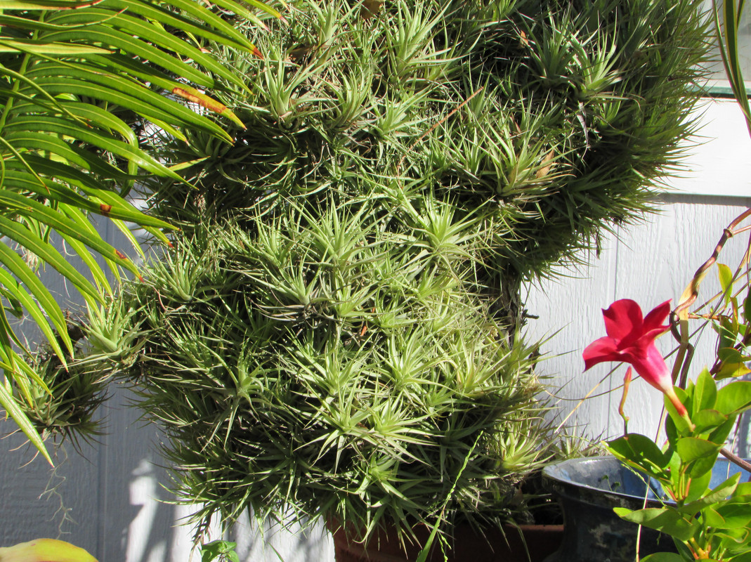 IMG 4084 — Postimages