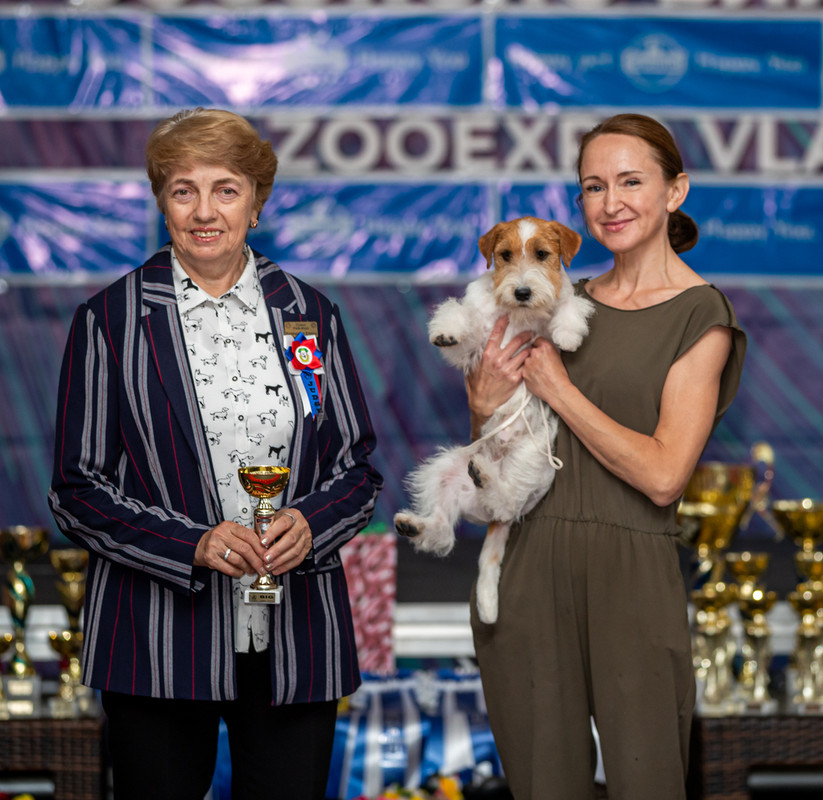 02 1271 — Postimages