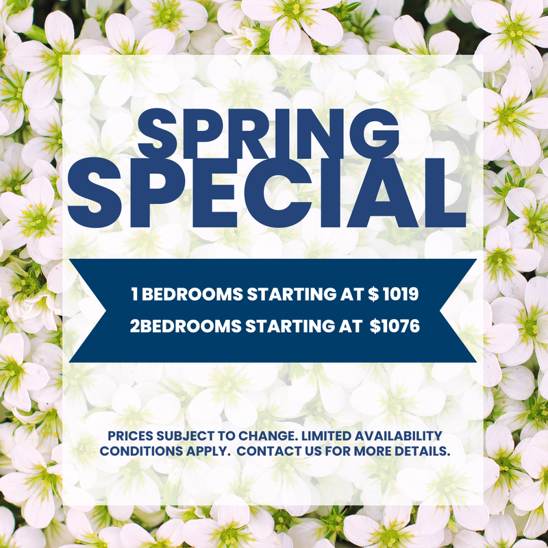 Covington Glen Spring Special Revise — Postimages