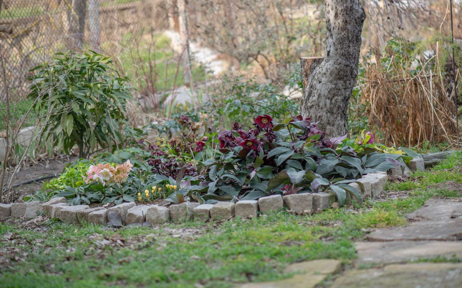 IMG 4fc818bc8050715939ec5fb761f3276a V — Postimages