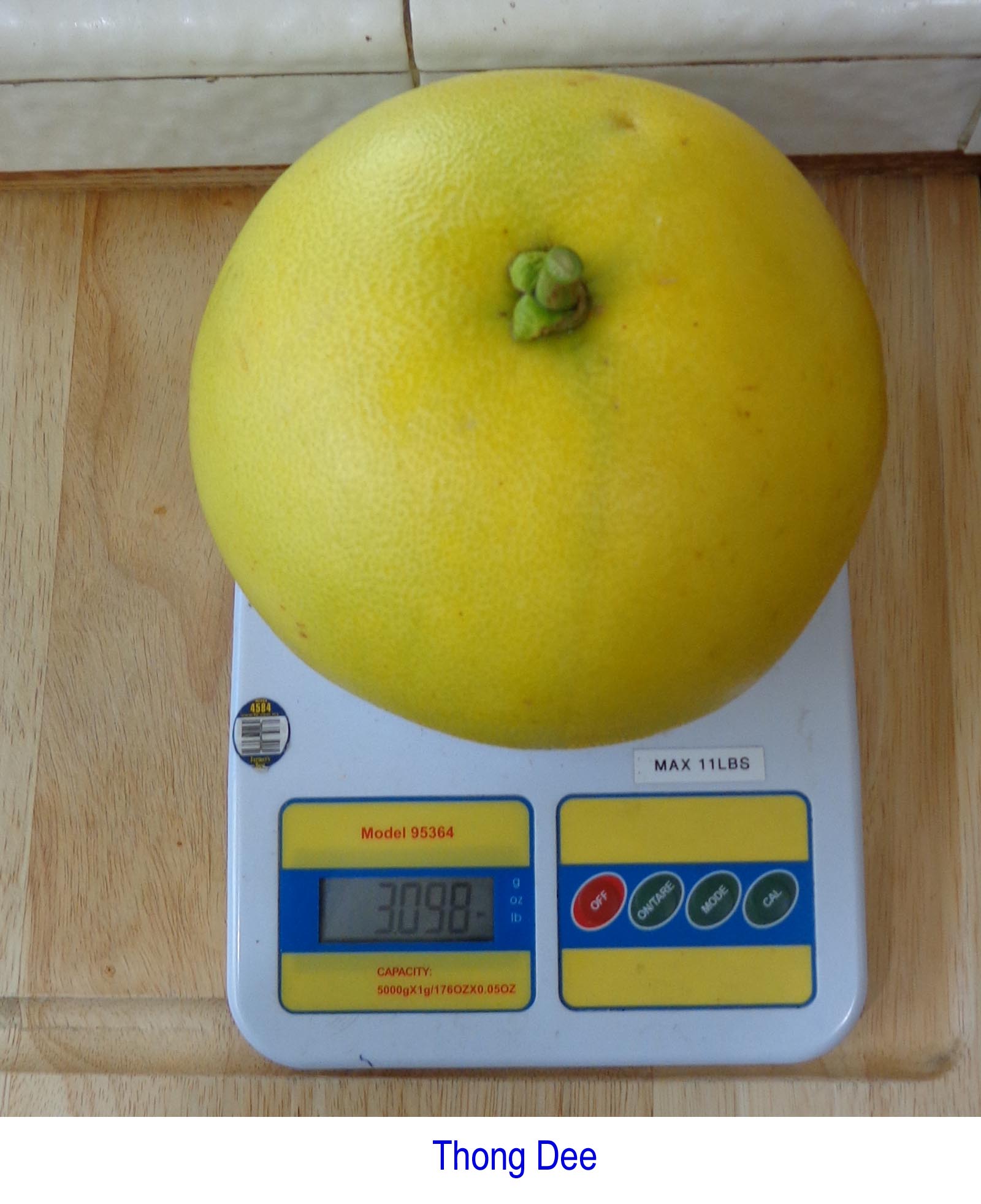 Thong Dee pic2 — Postimages