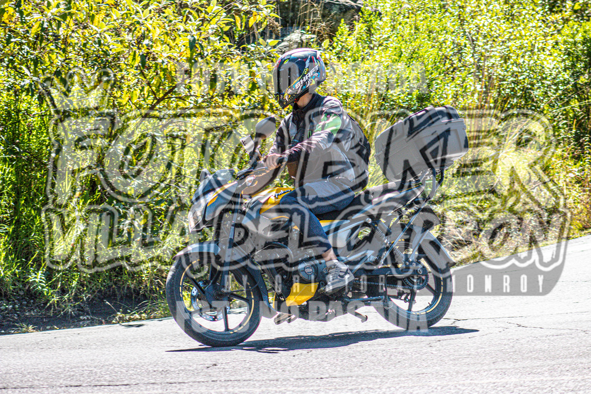 CV 140 — Postimages