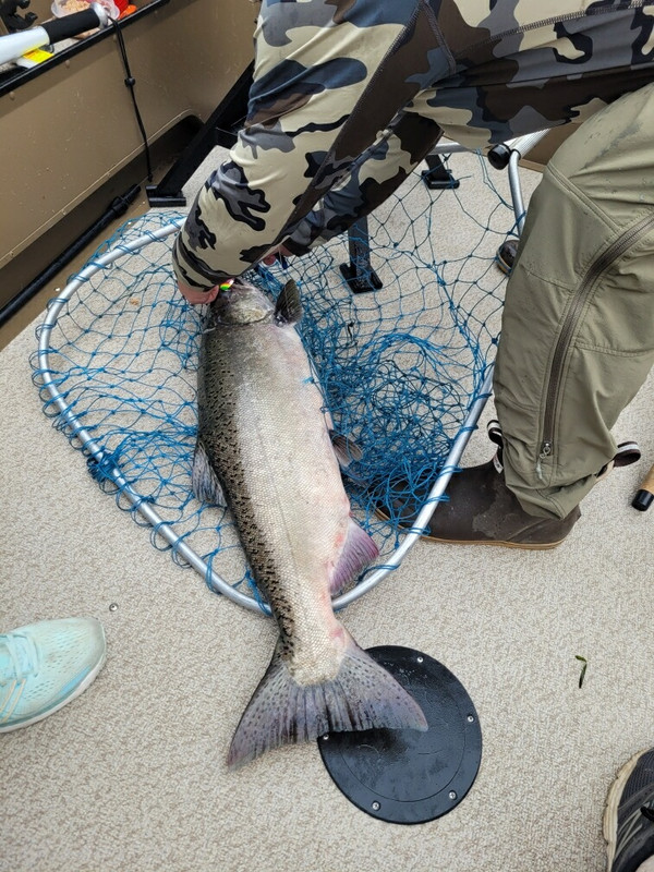 imagejpeg 0 — Postimages