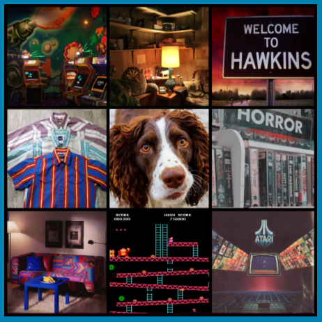 Finn Spanielhard on Toyhouse