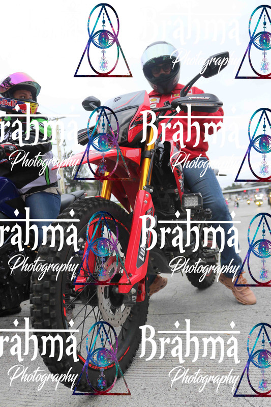 IMG 4935 — Postimages