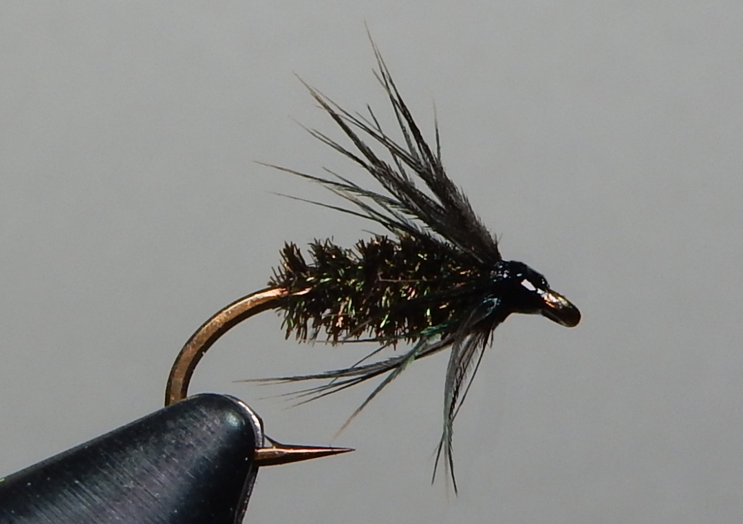 Starling & Herl - Fly Tying - Maine Fly Fish