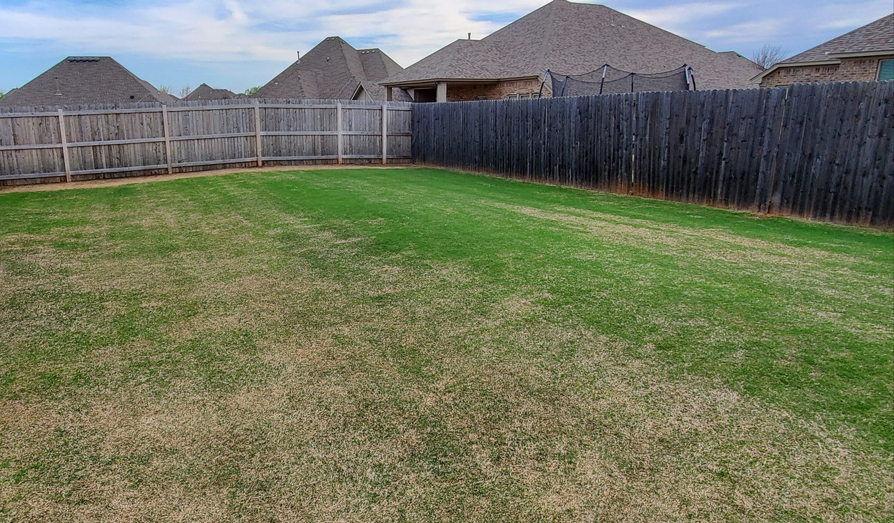 backyard — Postimages