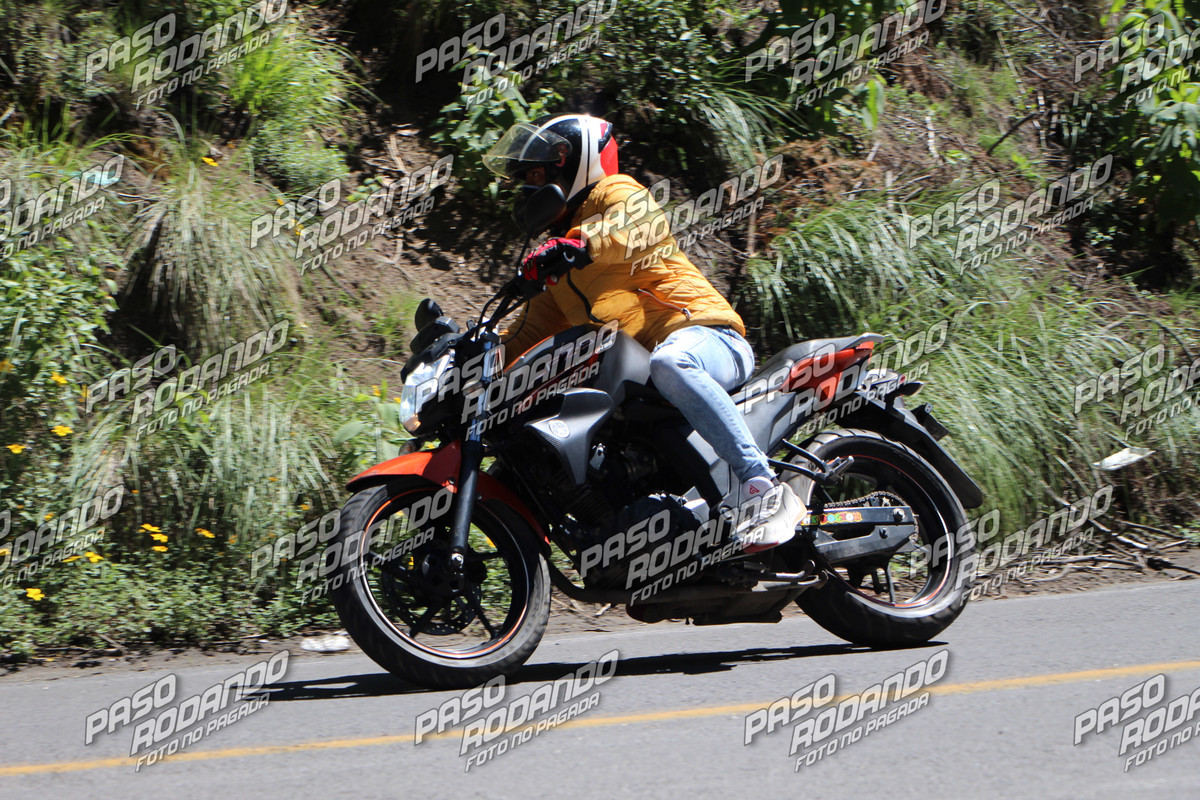 IMG 4282 wm 1944625 watermarked — Postimages
