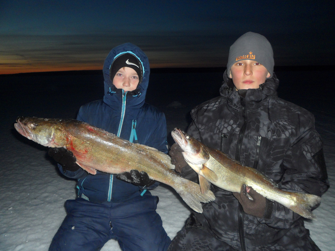 SAM 0265 — Postimages