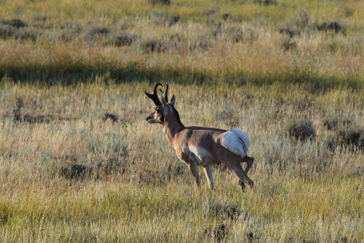 DSC 0616 — Postimages